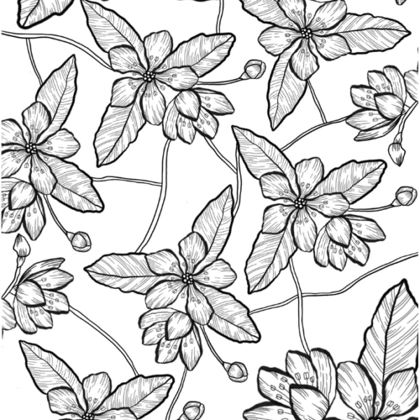 How to Draw a Cherry Blossom Flower: Step-by-Step Guide + Free ...