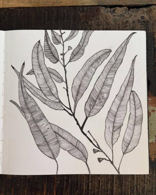 The History of Doodling: From Cave Walls to Modern Artistry – Doodle ...